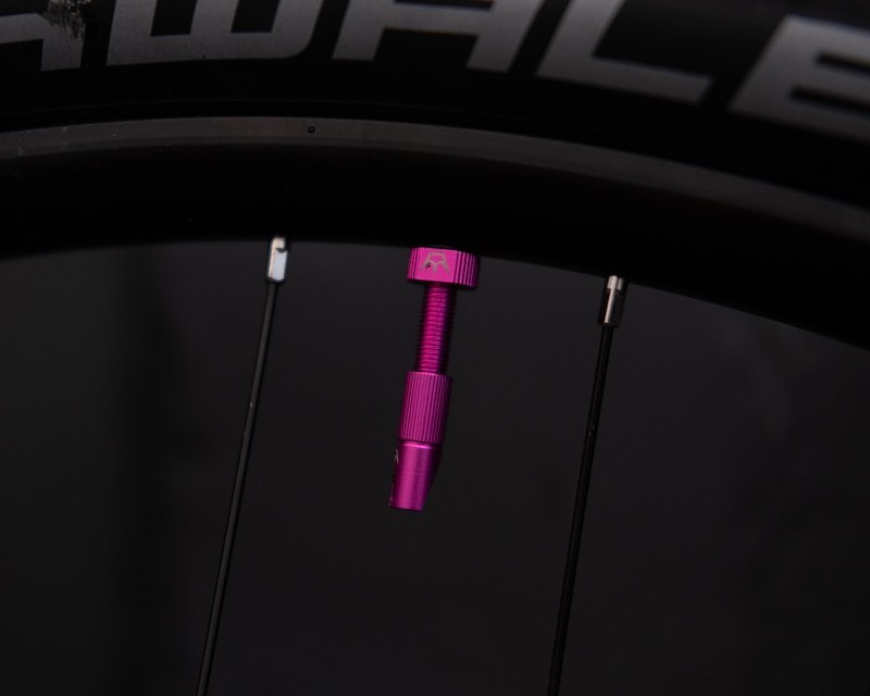 Studio Velo – Scott – Studio Velo Blog